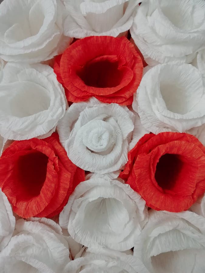 Roses are red. stock image. Image of beauty, food, sweetness - 223938275