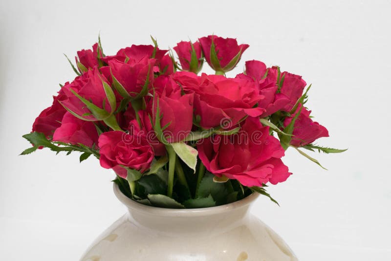 Roses stock image. Image of gift, holiday, romantic, wedding - 85692159