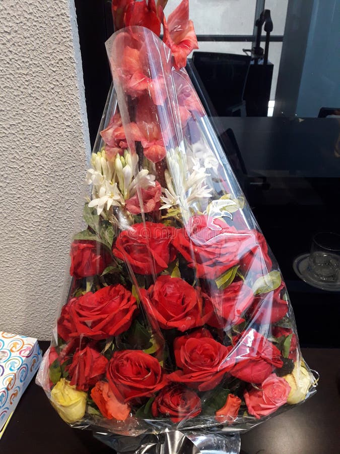 Roses stock photo. Image of wishes, future, roses, bright - 135592854