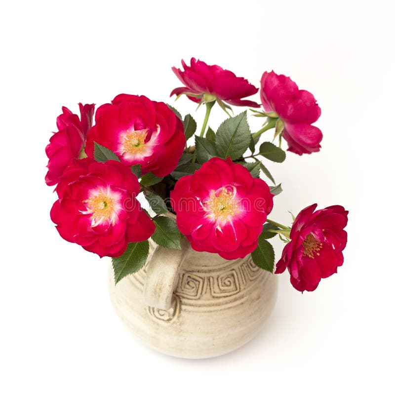 Roses stock photo. Image of flower, petal, gift, colour - 55510252