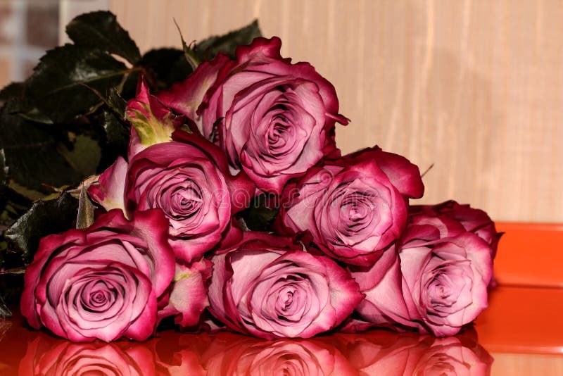 Red Roses Reflected stock photo. Image of deep, holiday - 2247864