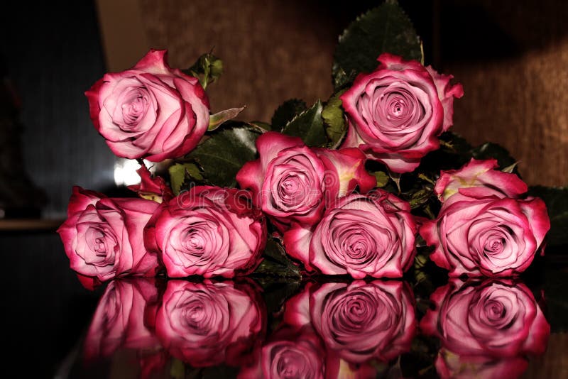 Red Roses Reflected stock photo. Image of deep, holiday - 2247864