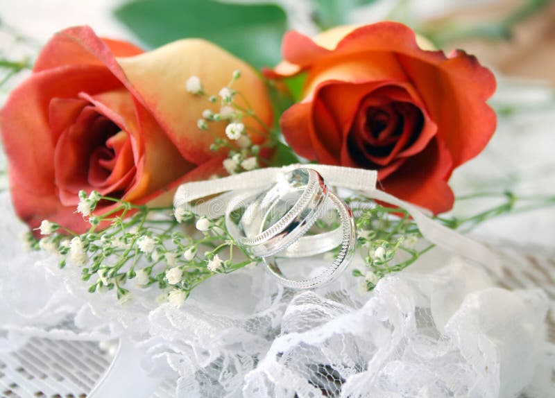Roses and Rings stock photo. Image of petals, rings, vase - 8103882