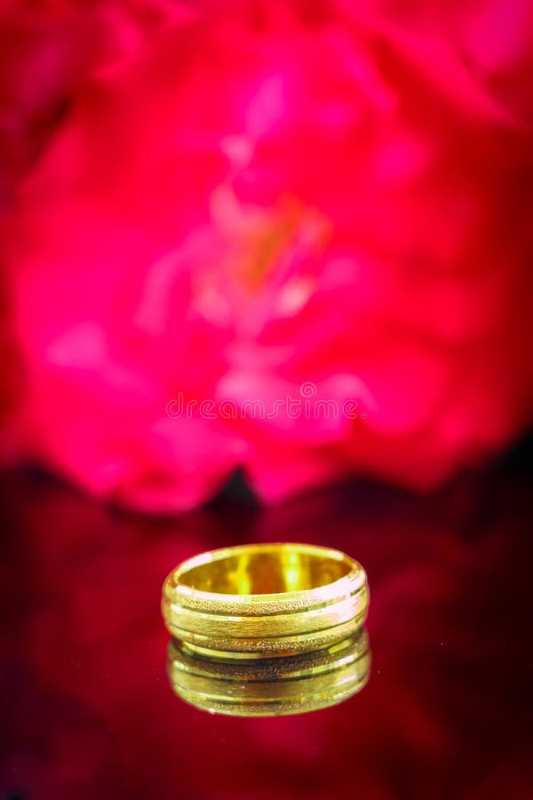 Roses and rings stock image. Image of couple, marriage - 62656173