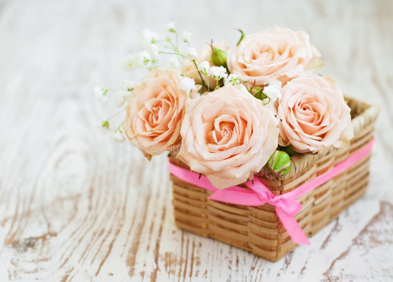 Roses rose-clair image stock. Image du amour, fleurs - 36273385