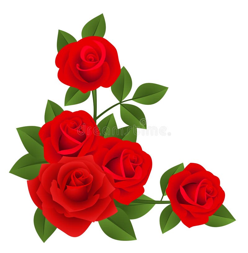 Roses Rouges. Illustration De Vecteur. Illustration de Vecteur ...