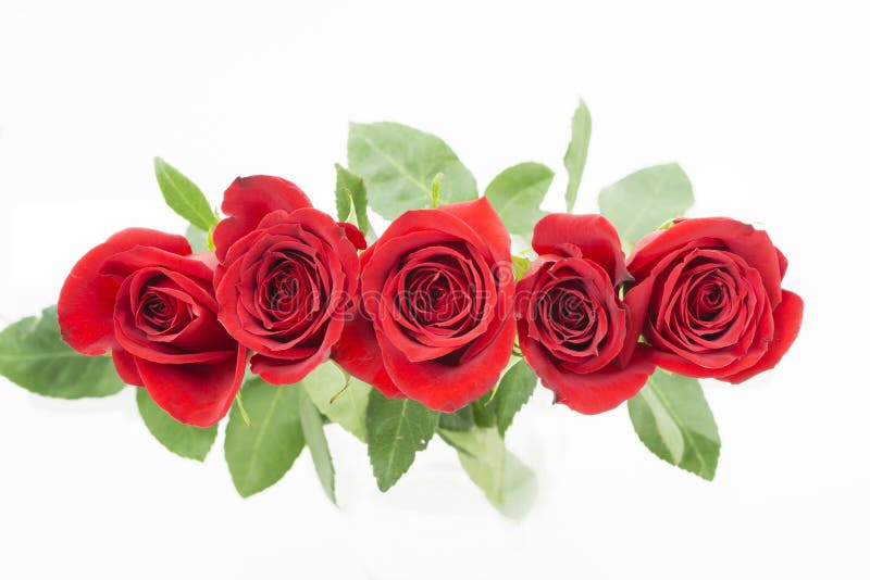 Roses Rouges Sur Une Rangée à Partir Du Dessus Image stock - Image du ...