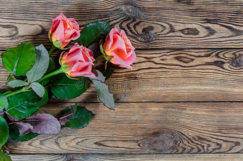 Roses on rustic table stock image. Image of romantic - 37262665