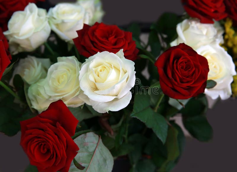 Roses in the shop stock photo. Image of aroma, bloom - 46789612