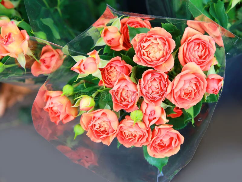 Senior Customer Buying Red Roses Flower Shop Stock Photo - Image of ...