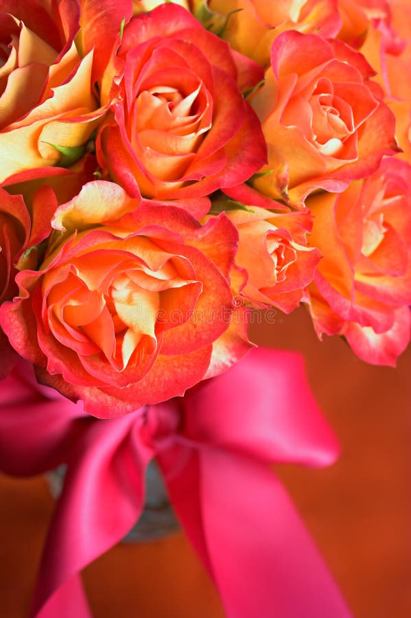 Orange Roses in glass vase stock image. Image of romantic - 2703143