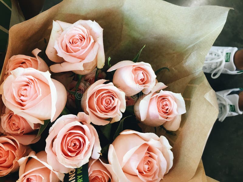 Roses at supermarket stock image. Image of petal, rose - 97393155
