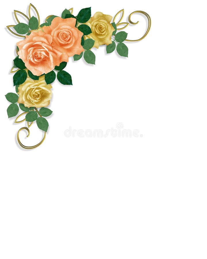 8+ Peach roses isolated Free Stock Photos - StockFreeImages