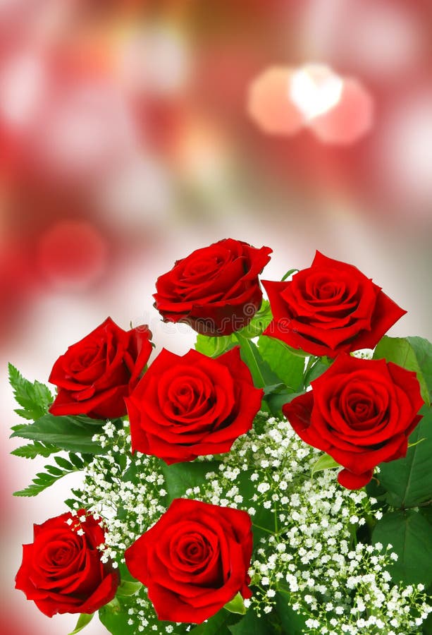 Roses for Valentine s Day stock image. Image of wedding - 36848369
