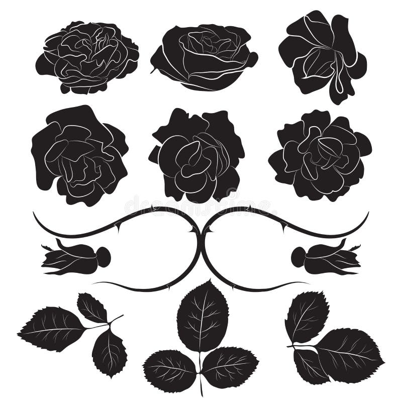 Horizontal Roses stock vector. Illustration of drawing - 2081155