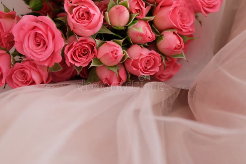 Roses on a veil stock photo. Image of flowers, natural - 142007494