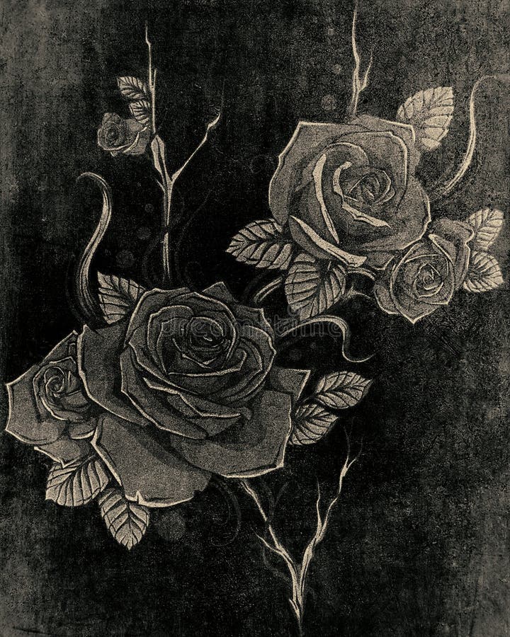 Roses in Vintage Engraved Illustration Stock Image - Image of love ...