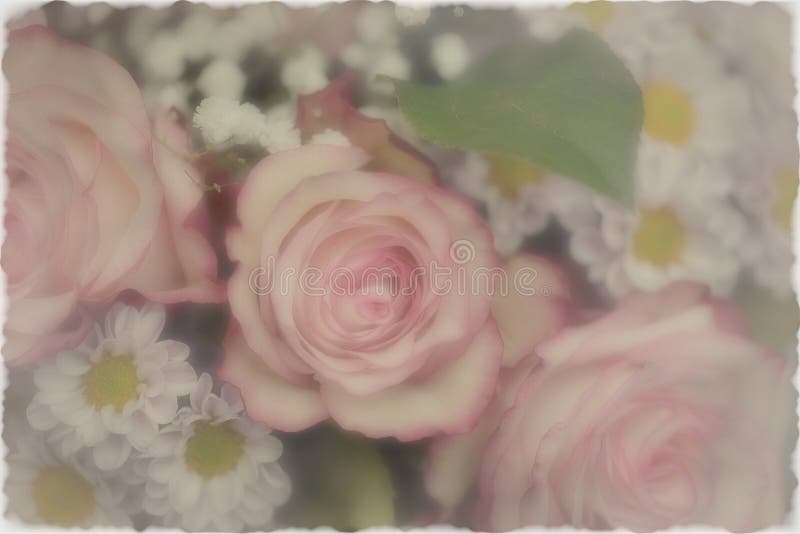 Roses in vintage style stock image. Image of background - 368532731