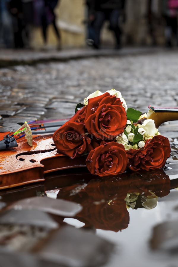 Roses and Violin stock illustration. Illustration of romance - 289297242