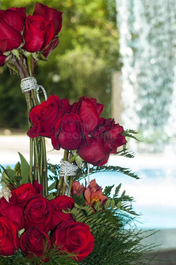 Roses stock image. Image of flowers, flora, roses, waterfall - 38959311