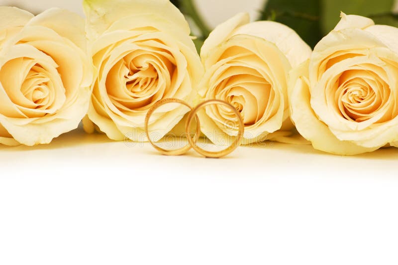 Roses and wedding rings stock image. Image of gold, celebration - 6005491