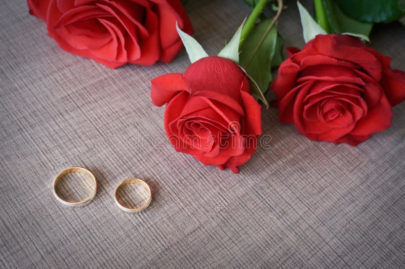 Roses and wedding rings stock photo. Image of wedding - 118631574