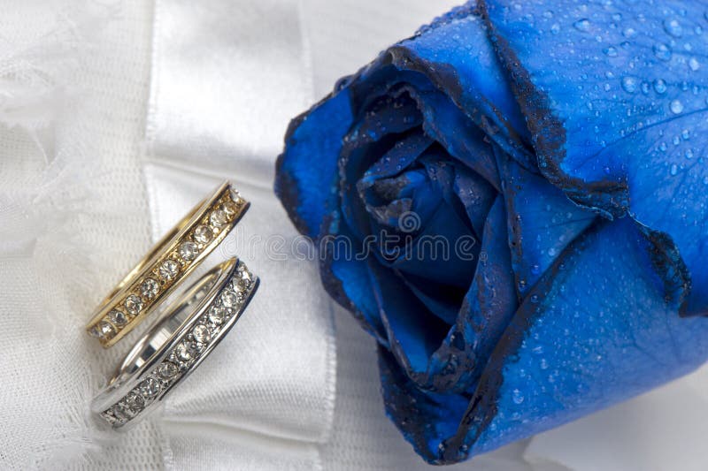 A Blue Roses and Wedding Rings Stock Image - Image of engagement ...