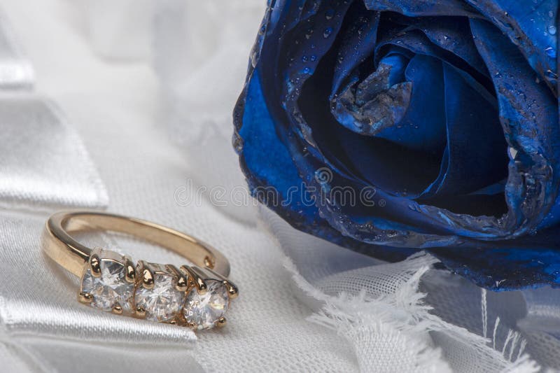 A Blue Roses and Wedding Rings Stock Image - Image of engagement ...