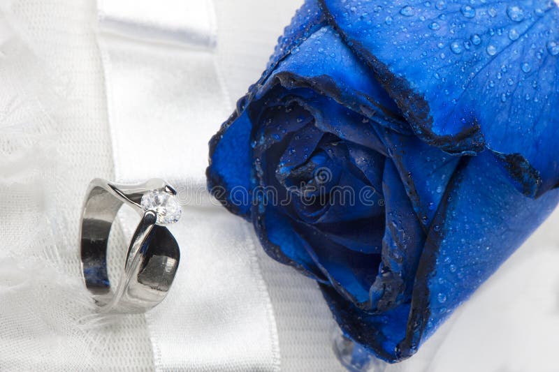 A Blue Roses and Wedding Rings Stock Image - Image of engagement ...