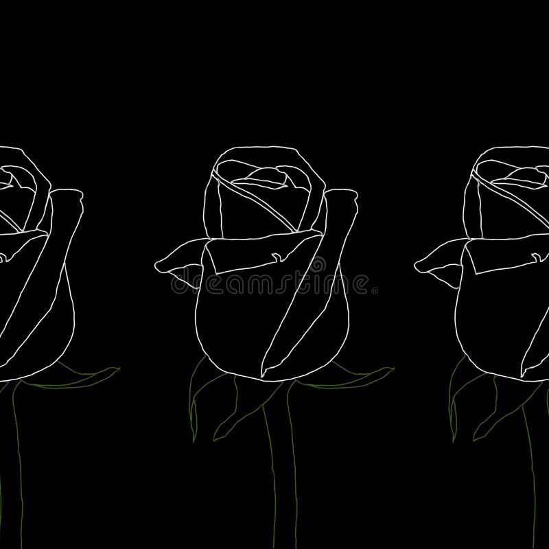 White Rose Black Background Drawing