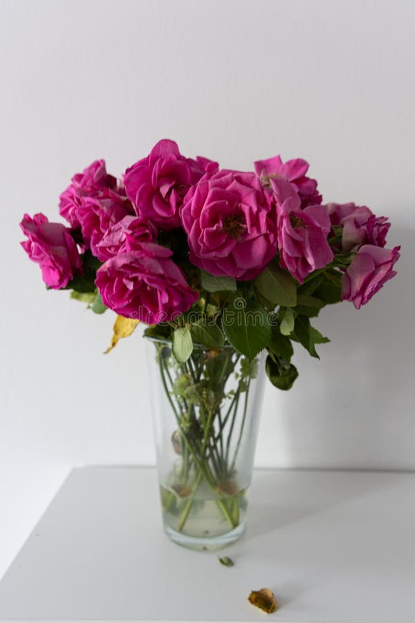 Roses stock photo. Image of centrepiece, flower, peony - 340493590