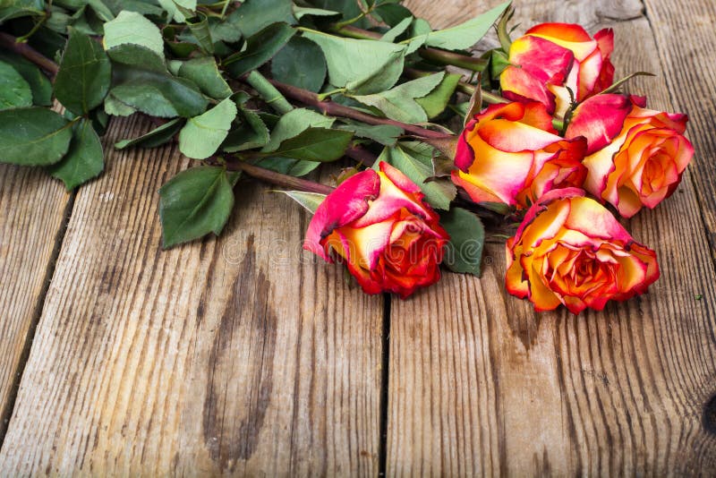 Roses On A Wooden Background Stock Photo - Image of romantic, abstract ...