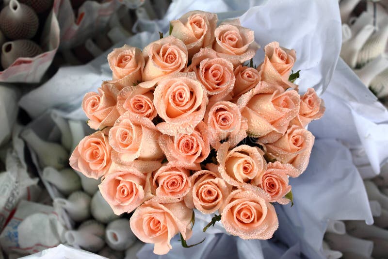 Roses wrapped in paper stock image. Image of blue, flower - 25227829