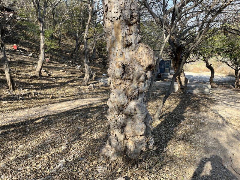 Environmental Limitations Stock Photos - Free & Royalty-Free Stock ...