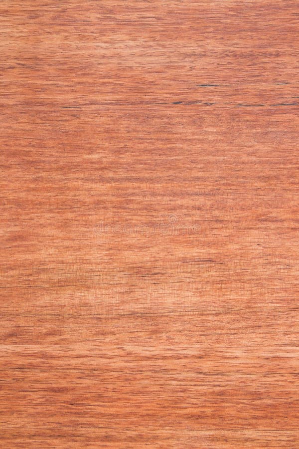 Rosewood texture stock photo. Image of macro, carpenter - 65494518