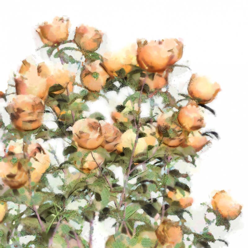 Rosier. Dessin Sur Une Ligne Illustration de Vecteur - Illustration du ...