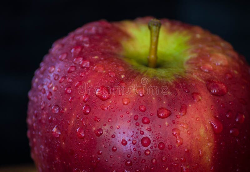 Rosiger roter Apfel stockbild. Bild von frucht, frisch - 55922611