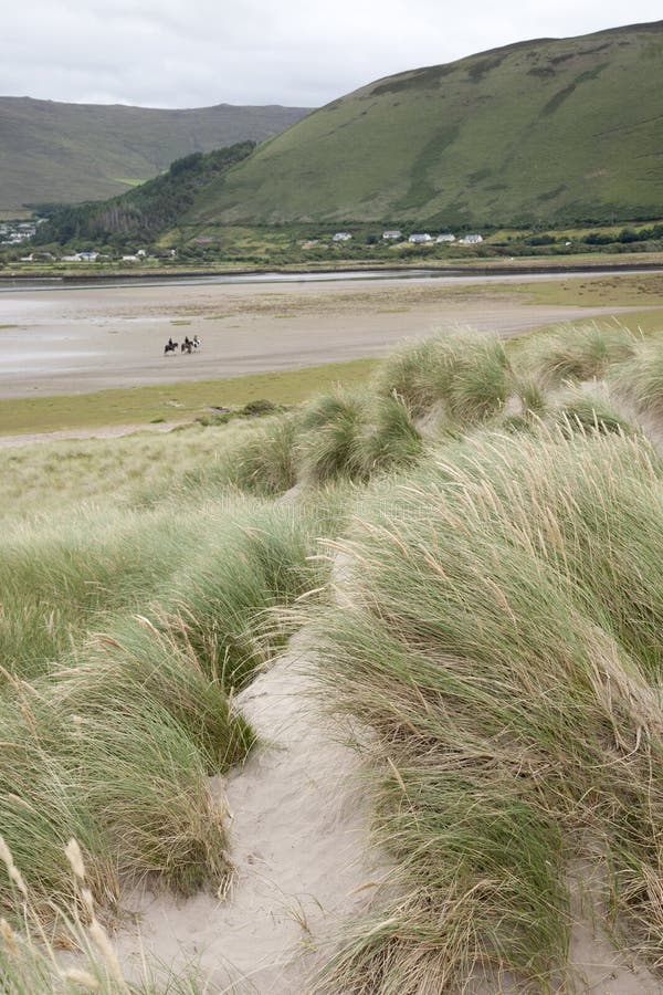 Rossbeigh-Strand-Reiten, Grafschaft Kerry Stockbild - Bild von sand ...