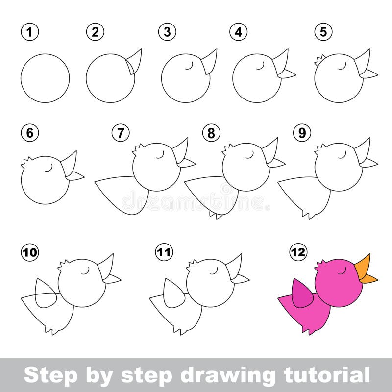 Rossignol Cours de dessin illustration de vecteur. Illustration of ...