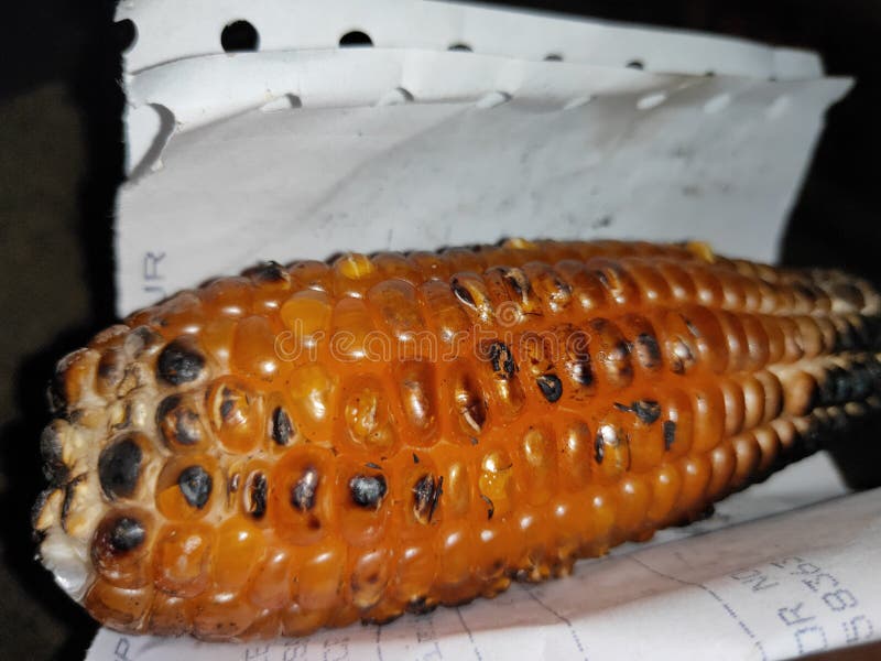 Rosted Red Cron on White Paper Stock Photo - Image of cron, paper ...