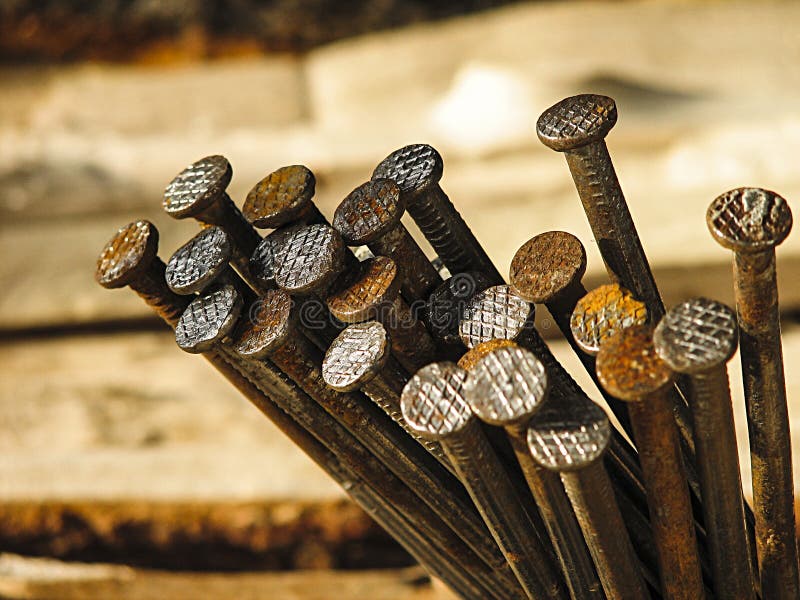 Rostigt spikar fotografering för bildbyråer. Bild av stift - 34078901