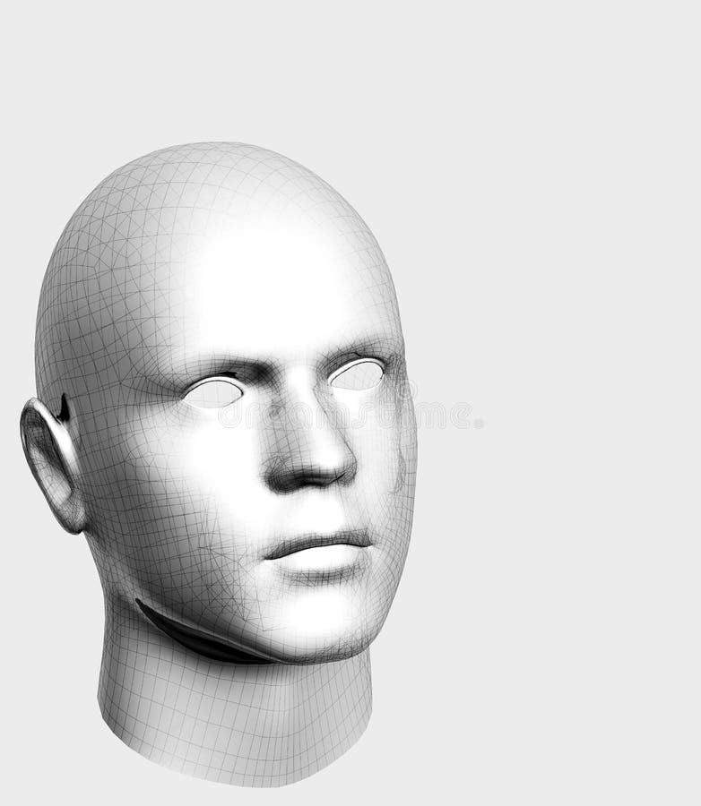 Esquema Del Rostro Humano