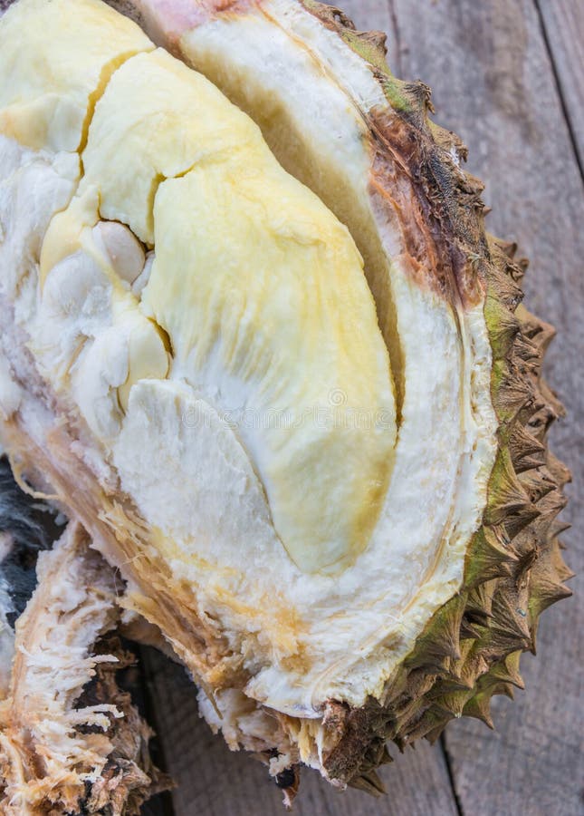 174 Durian Rotten Durian Stock Photos - Free & Royalty-Free Stock ...