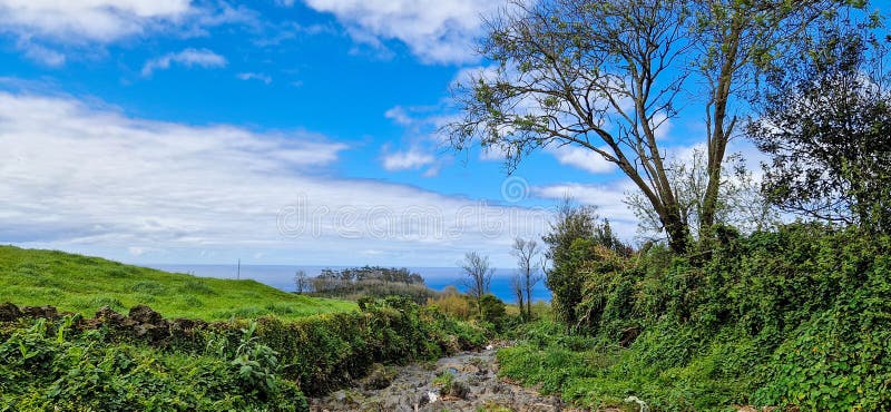 Green Fields and Meadows in Azores in the Rota Da Água - Janela Do ...