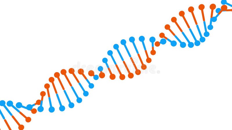 Rotating Blue-orange DNA Molecule on White Background Stock Footage ...