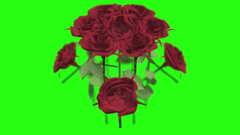 Rotating Bouquet of Flowers in Green Screen Background Loop Stock Video ...