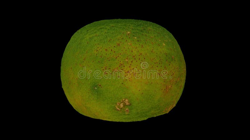 Rotating Cut Calamansi on Transparent Background 02C Looping with Alpha ...