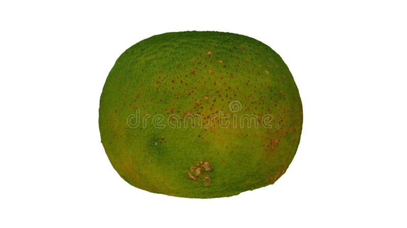 Rotating Cut Calamansi on Transparent Background 02C Looping with Alpha ...
