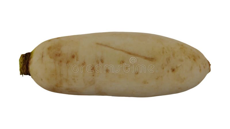 Long Radish Color Icon Animation Stock Video - Video of leaf, long ...