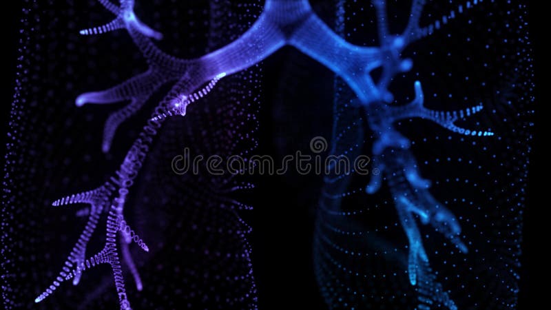 Rotating 360 Degree of Human Lungs. Glowing Blue Light Particles Point ...